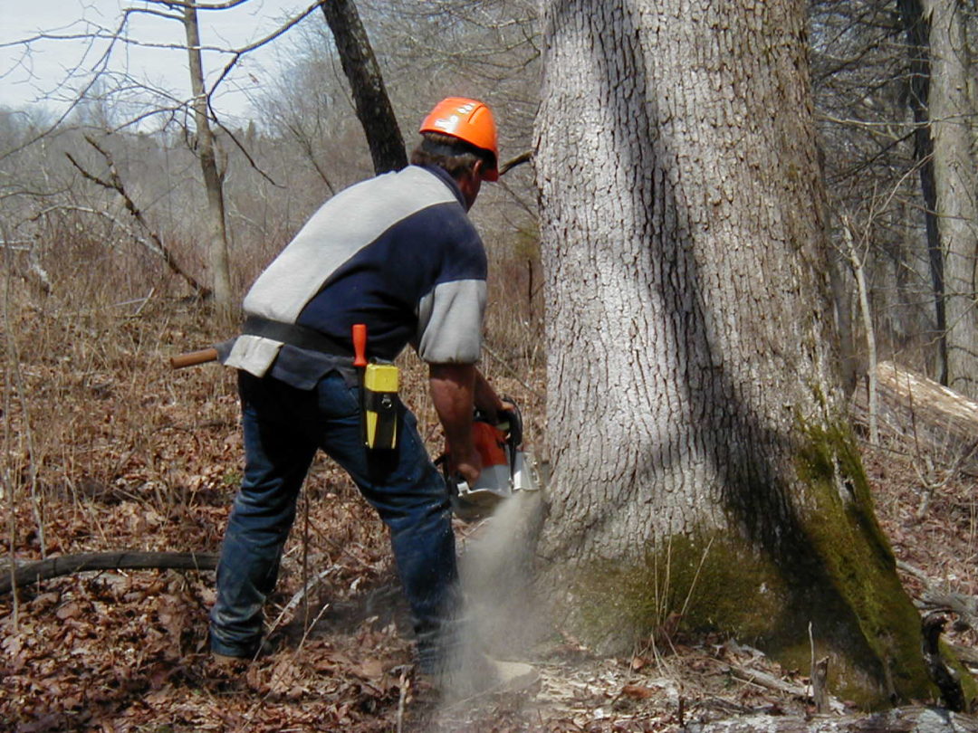 Kentucky Association of Consulting Foresters